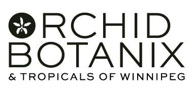 Orchid Botanix – Orchid Botanix & Tropicals of Winnipeg
