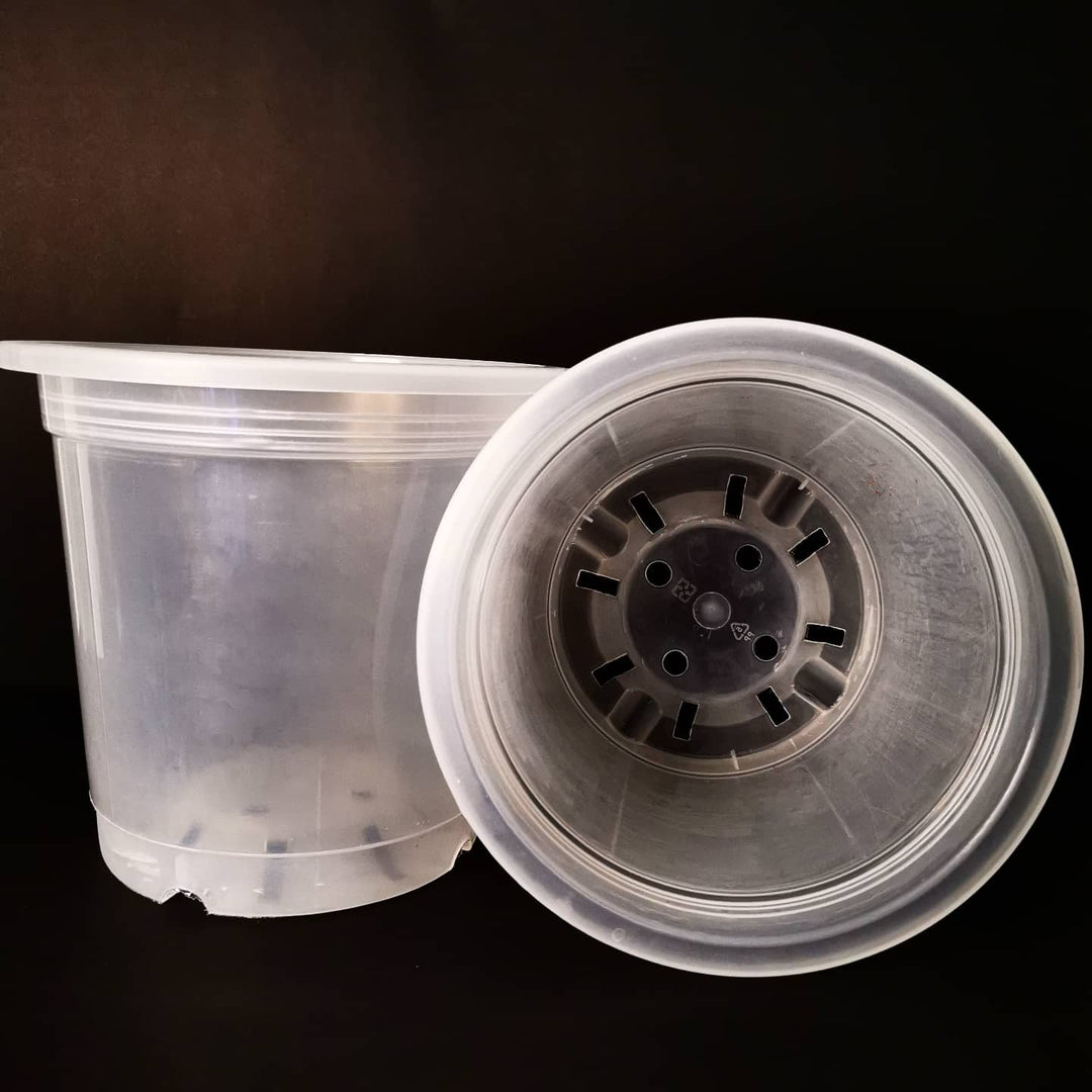 7" Pot – Orchid Botanix & Tropicals of Winnipeg