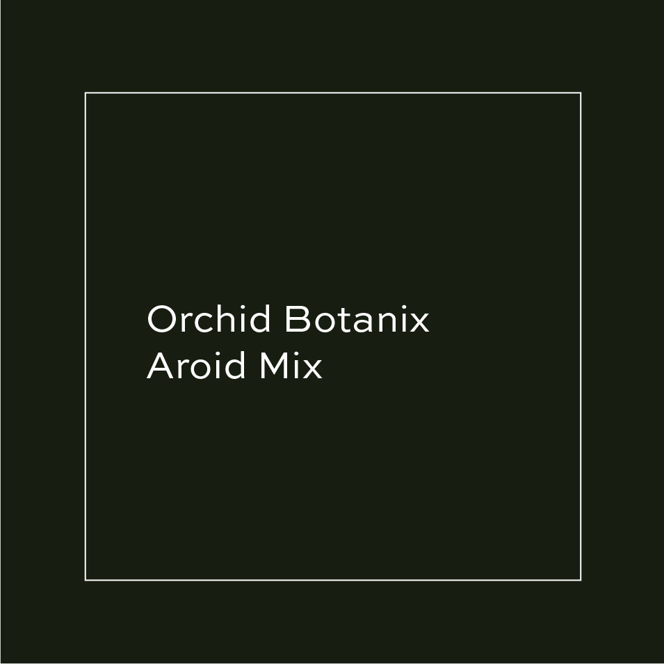 Orchid Botanix Aroid Mix (3L) – Orchid Botanix & Tropicals of Winnipeg